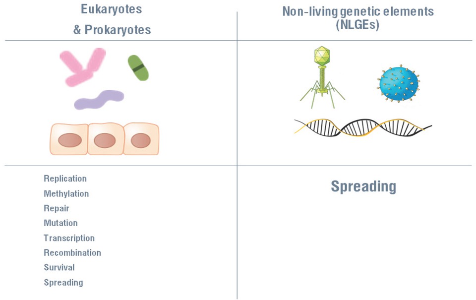 A new biological definition of life - HMI
